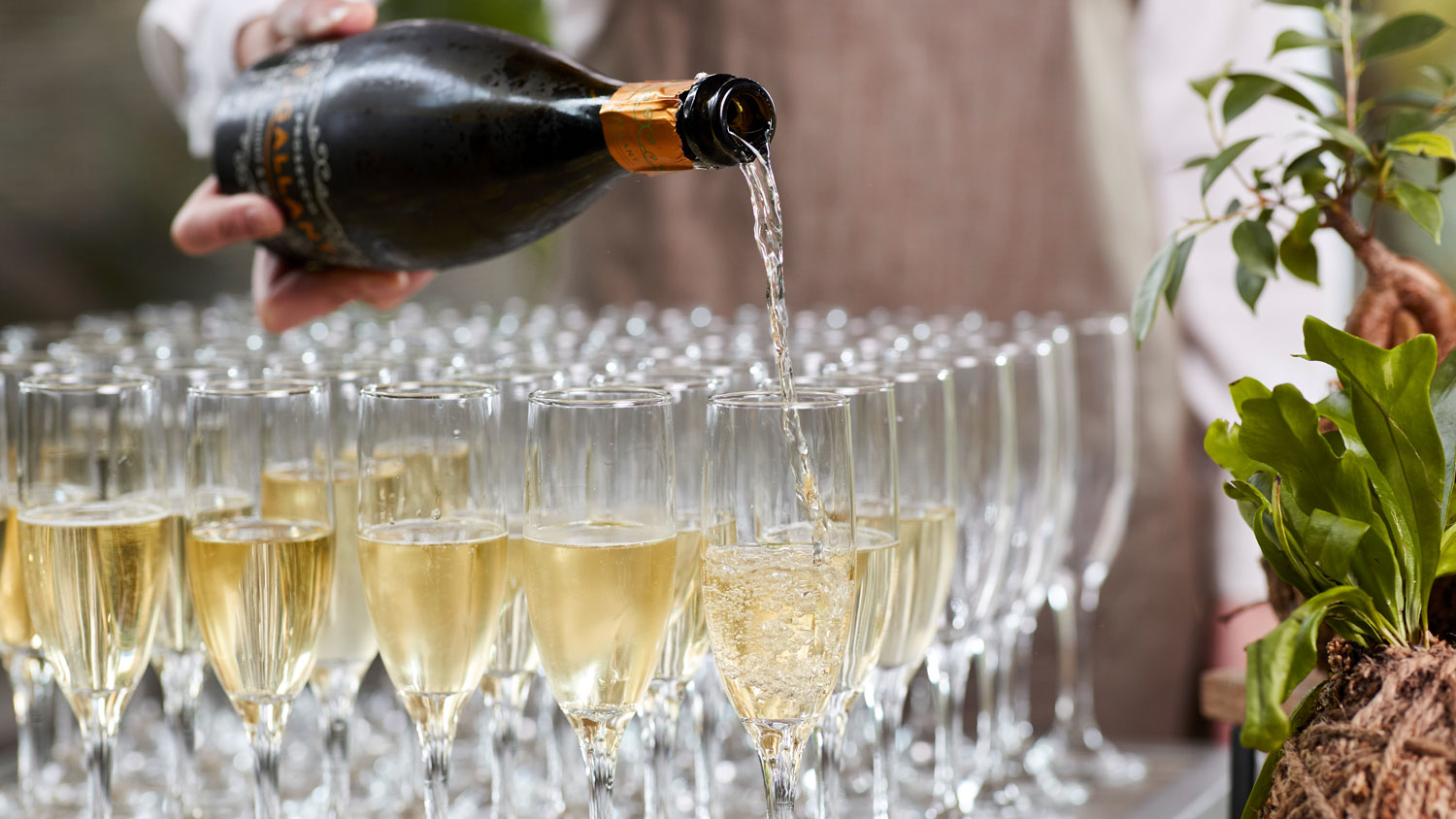 The Maali | Welcome to The Maali