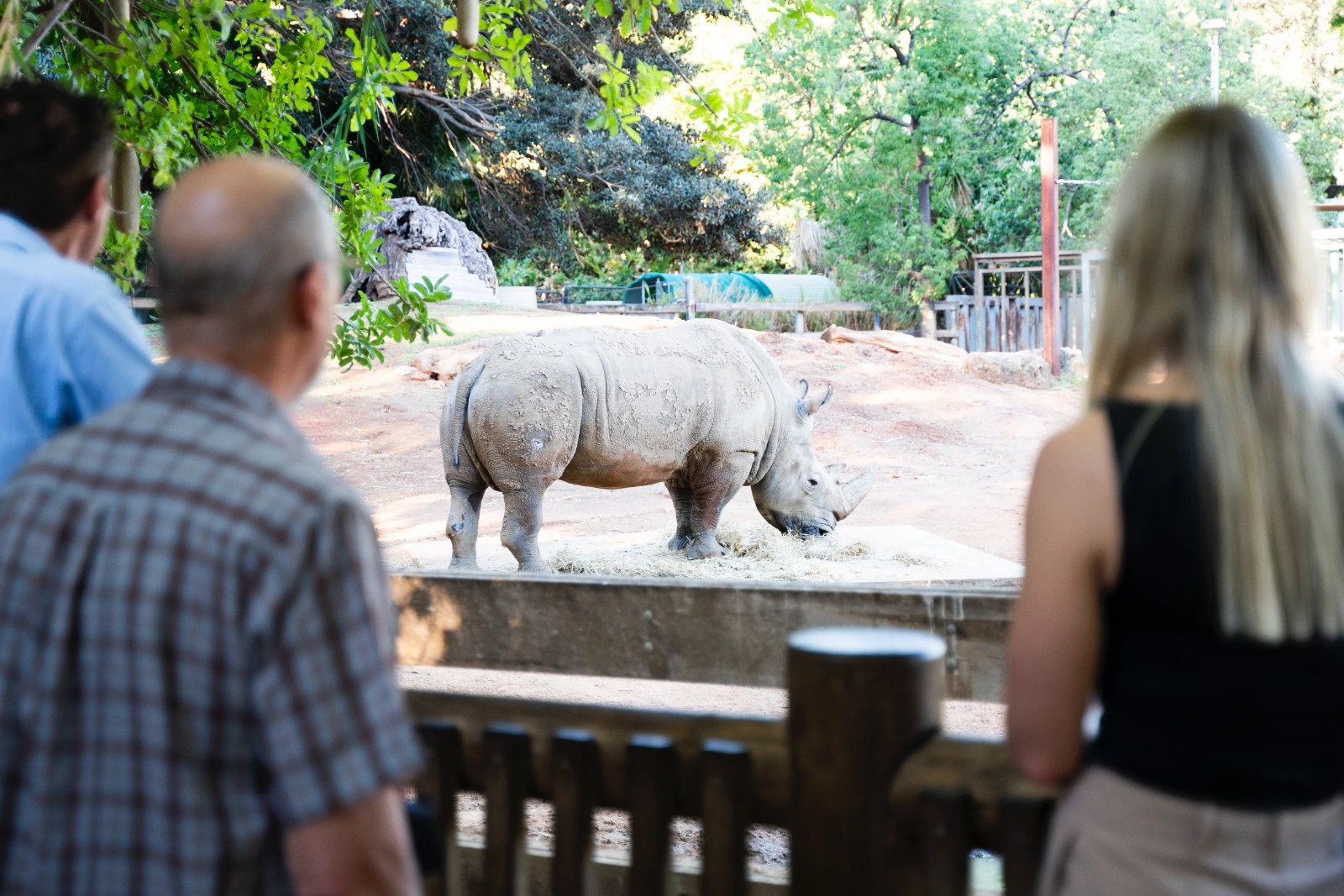 Perth Zoo Spaces | The Maali